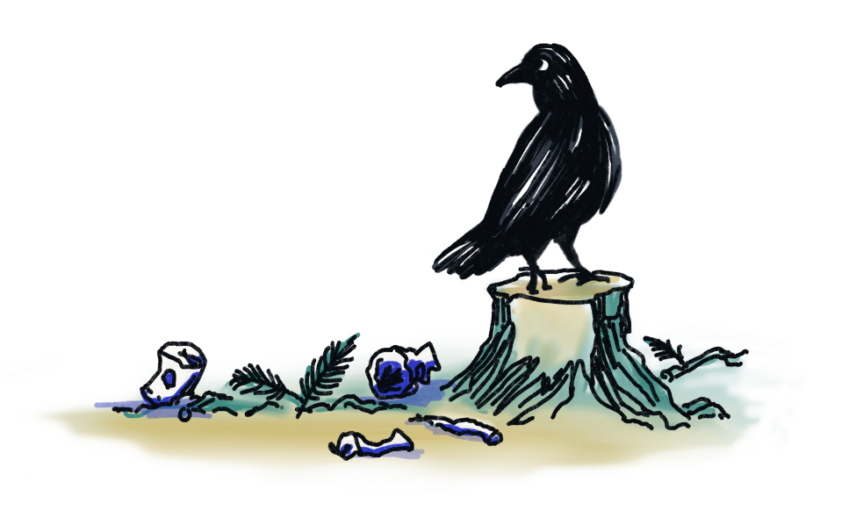 Raven Polluters Anthropology News