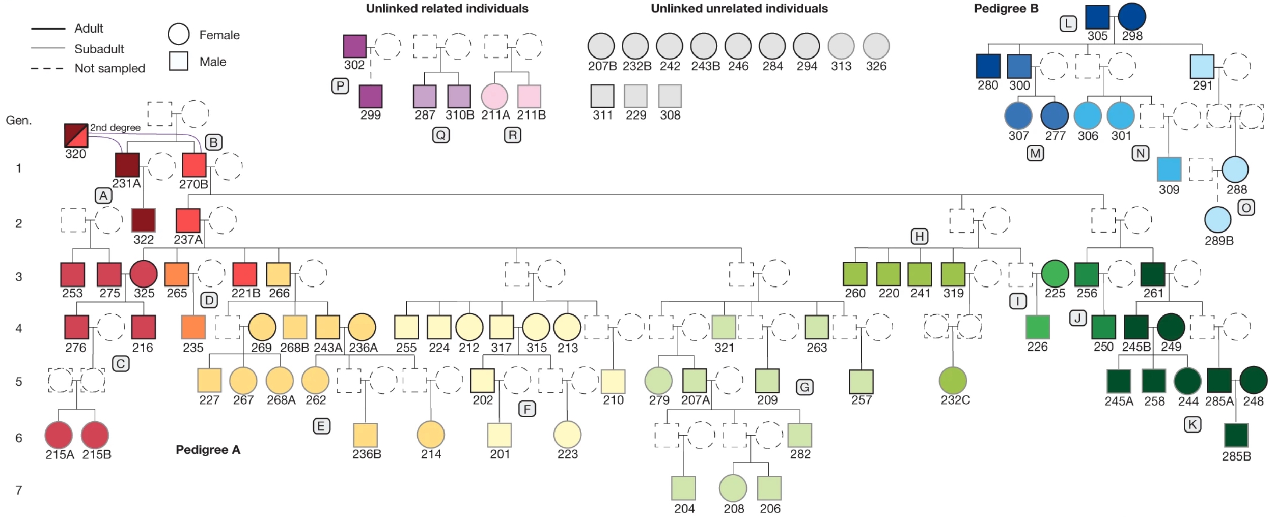 The Persistent Myth of the Nuclear Family - Anthropology News